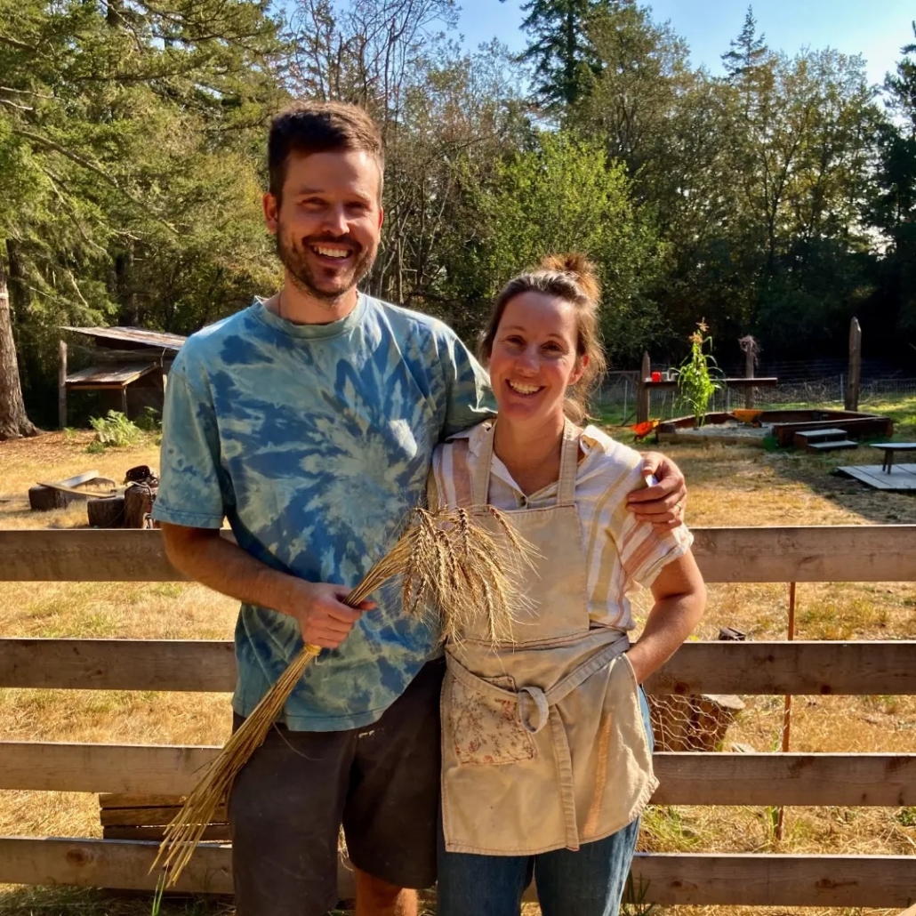 Barn Owl – Lopez Community Land Trust