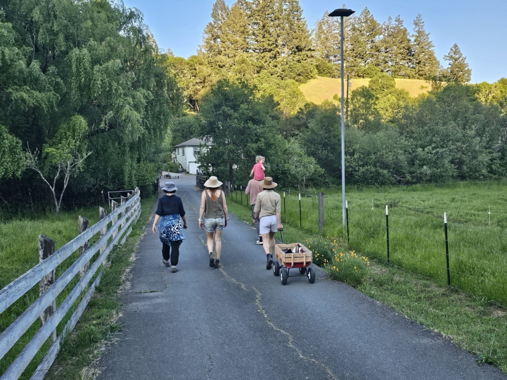 Summer 2025 News – Lopez Community Land Trust